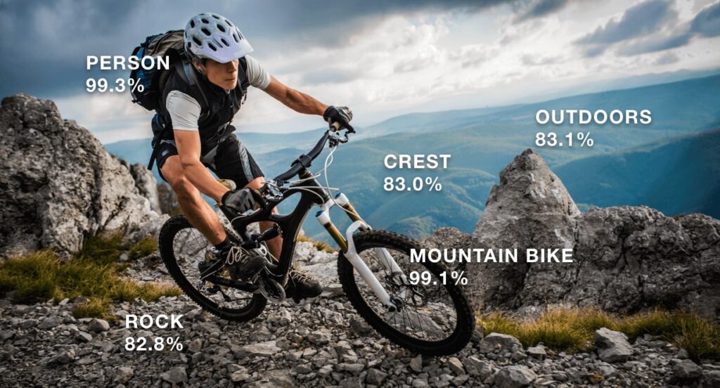 The 12 Best Image Recognition Apps That You Should Try In 2025